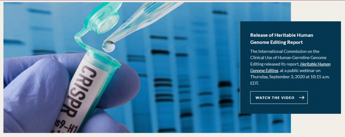 The International Commission on human germline genome editing discusses ...