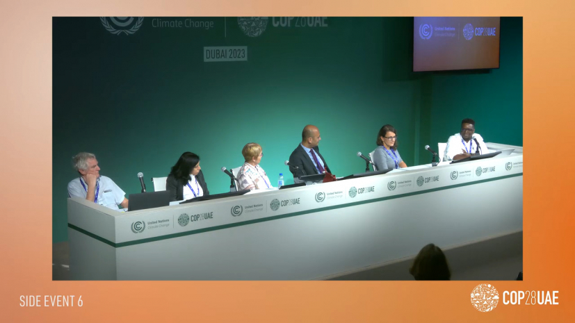 Successful COP28 Side Event Explores Climate Change Adaptation for Health