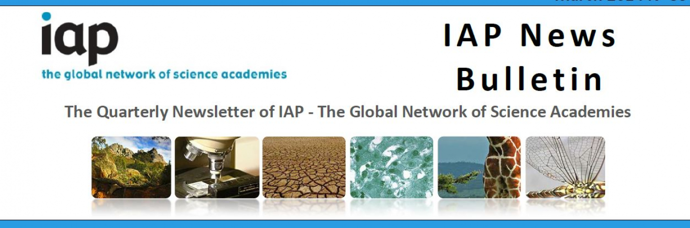 IAP News Bulletin, October 2014 issue