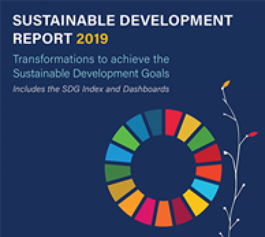 Latest assessment of global progress on implementing the SDGs