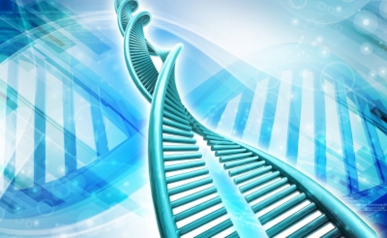 International Summit on Human Genome Editing