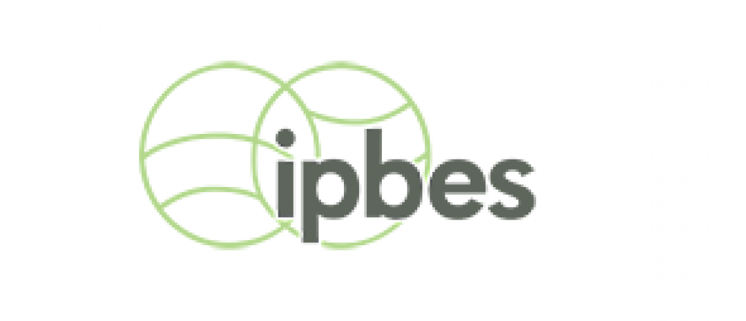 IPBES - call for open review