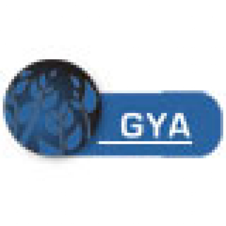 Global research and the GYA