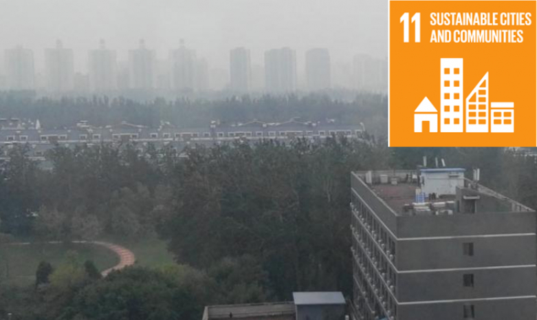 Urban Health opportunities