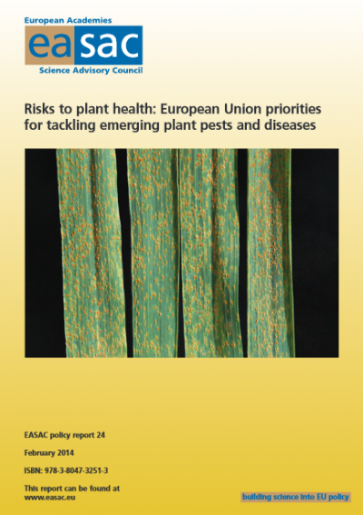 Risks to plant health: European Union priorities for tackling emerging ...
